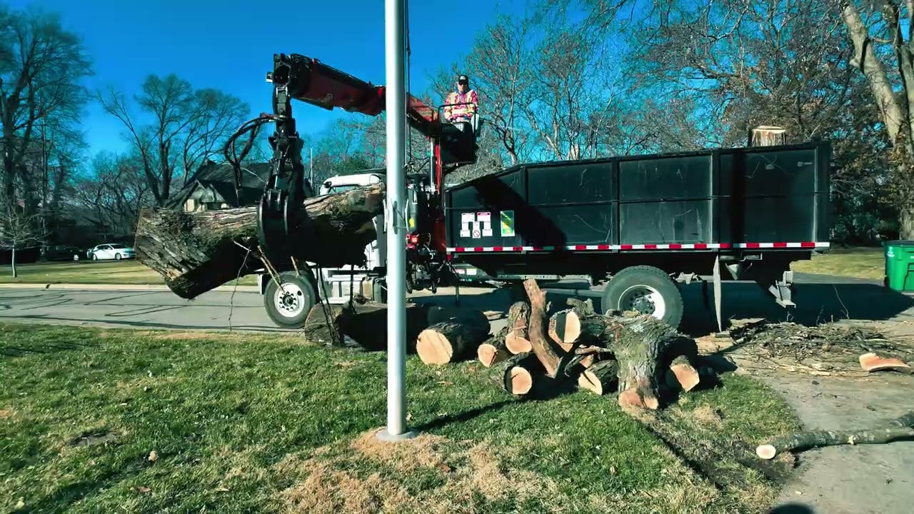 Masters Tree Care Experts - Kansas City