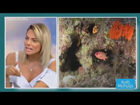 Philipos Marakis Live on Kalo Mesimeri, Krhth TV