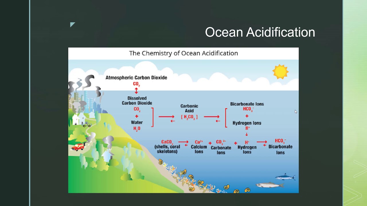 PPT 7 4 Natural Sources of CO2 and Particulates