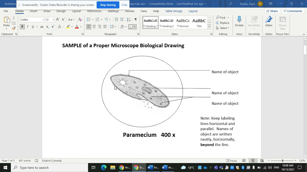 Virtual Microscope lab instructions part 1