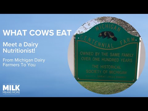 What Cows Eat and Meet a Dairy Nutritionist