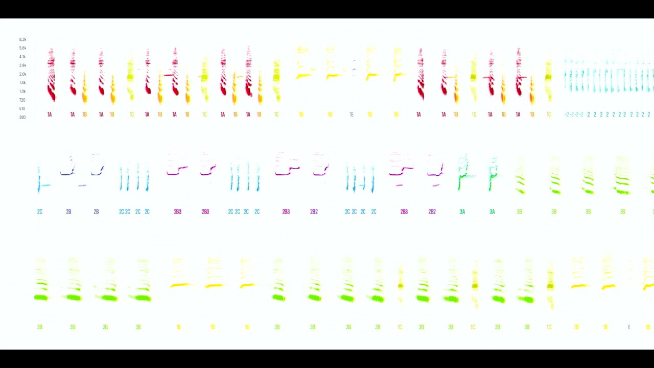 Michael Deal: Visualizing whale song
