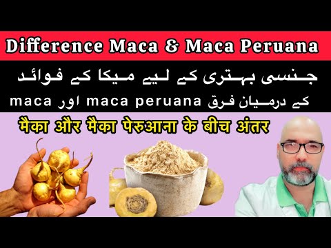 Maca and Maca Peruvians what is difference? Urdu And Hindi || Spanish Pk