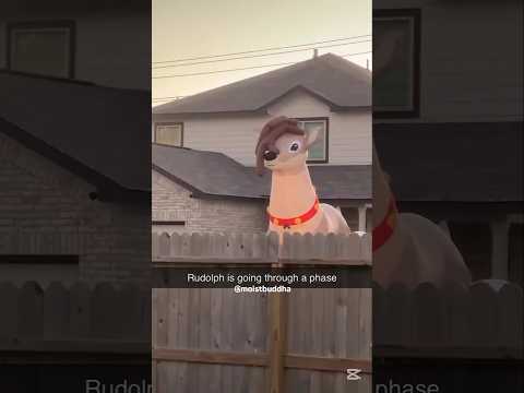 Edgy Memes v89