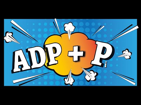 Phosphorylation of ADP in 45 seconds | A Level Biology | ADP+Pi → ATP