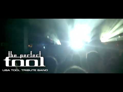 Tool tribute The Perfect Tool Feb 2023 tour dates!