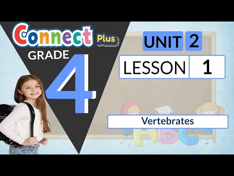 Connect Plus 4 unit 2 lesson 1: English ESL video lessons