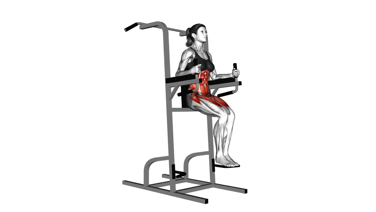 FitPair - Female Vertical Leg Raise on parallel bars