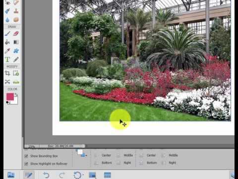 resize a photo in photoshop elements so it fits in standard sized frame