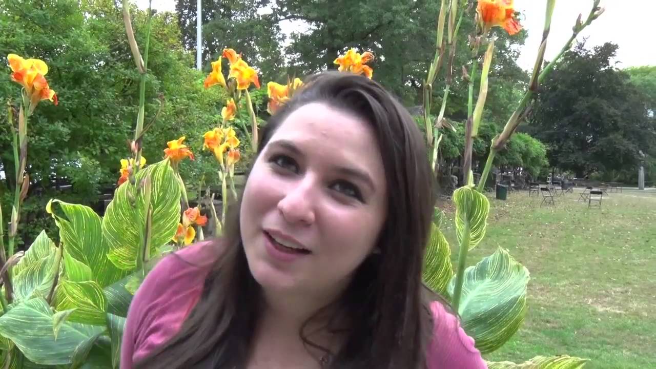 Sarah Lawrence College Fall Open House 1