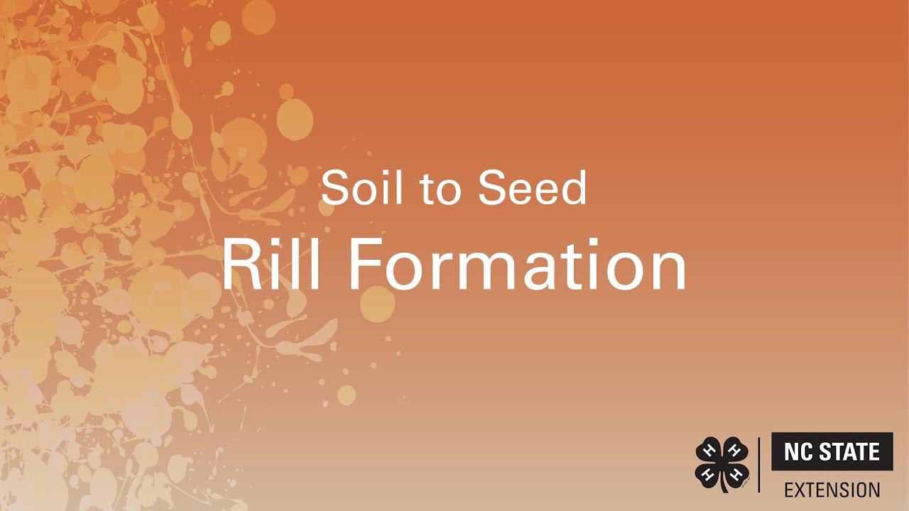Rill and Gully Formation