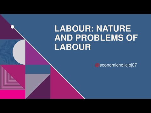 Labour : Features and Problems of labour (in Hindi) @economicholic07