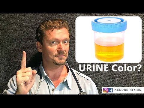 Urine Color Health Secrets (10 Colors Explained) 2024