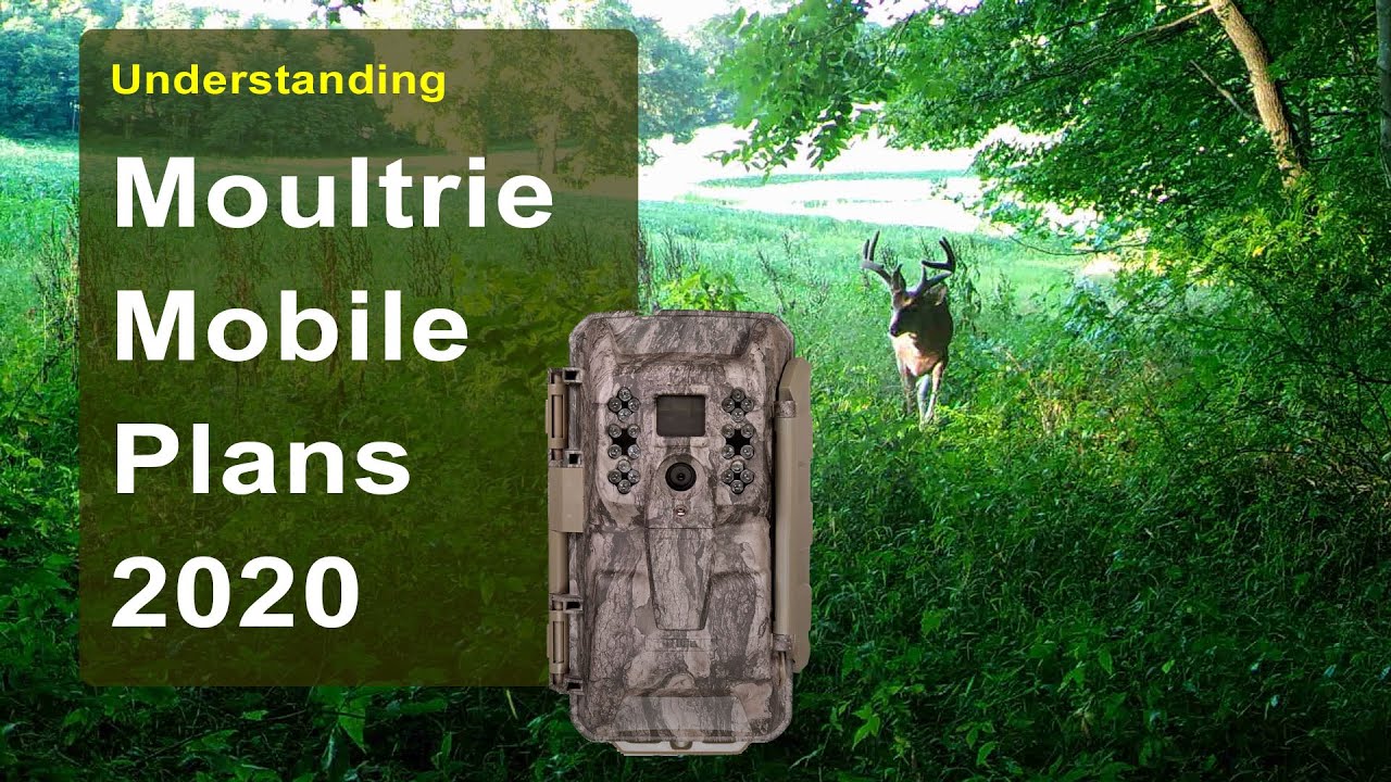 Understanding Moultrie Mobile 2020 plans