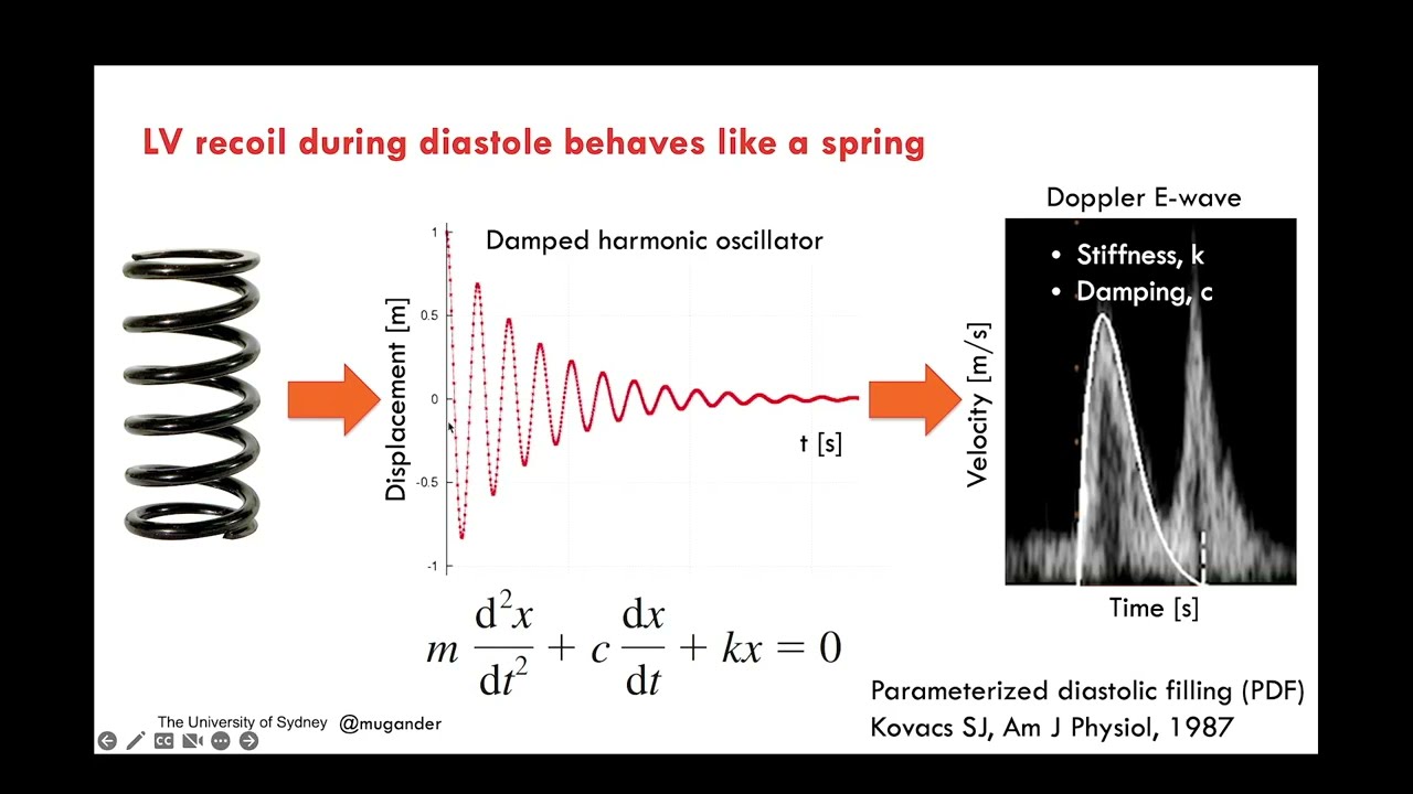 Diastolic dysfunction - new tools and new insights, by Prof Martin Ugander, October 19, 2022