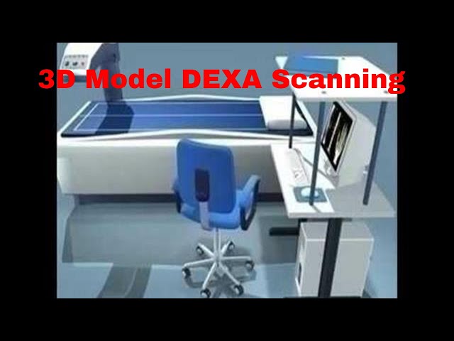 DEXA scanning 3D Model - FlatPyramid