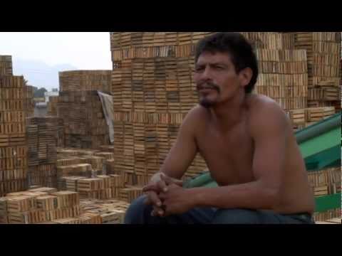Ciudad Huacal (short documentary with English subtitles)