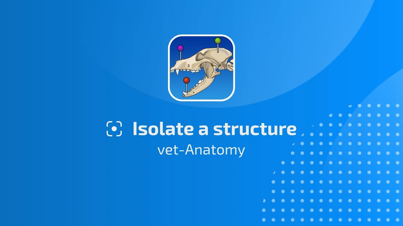 vet-Anatomy: Isolate a structure