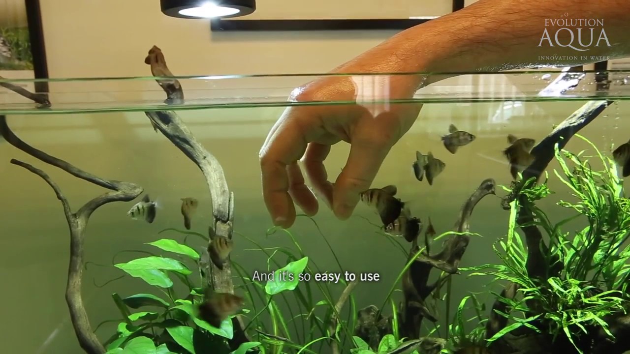 Evolution Aqua PURE AQUARIUM BOMB