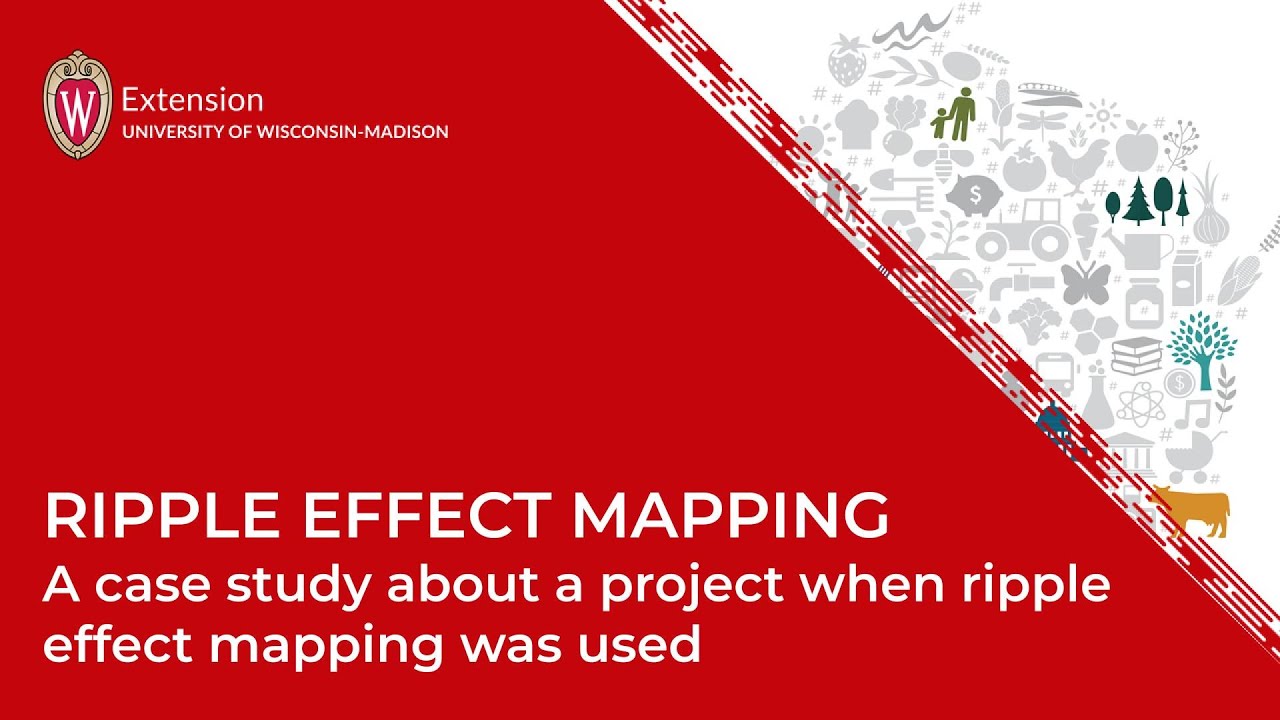 Ripple Effects Mapping: A case study about a project when ripple effects mapping was used