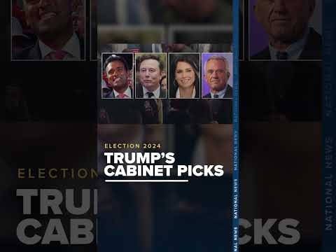 TRUMP CABINET PICKS: The main controversial figures at the center of discourse