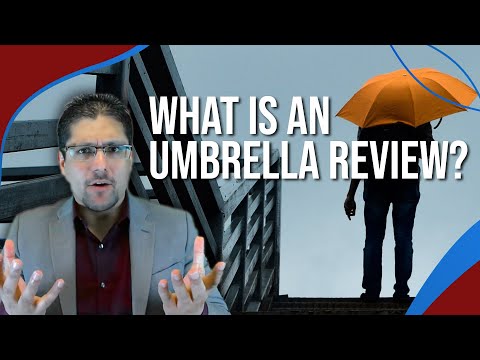 WHAT IS AN UMBRELLA REVIEW?
