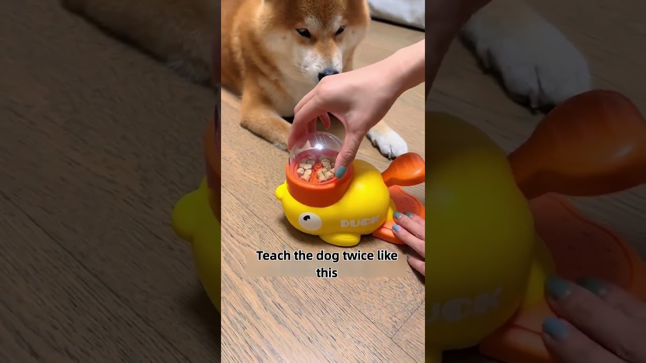 Dog Interactive Treat Dispenser Toy, Slow Feeder for Cat #petfeeder