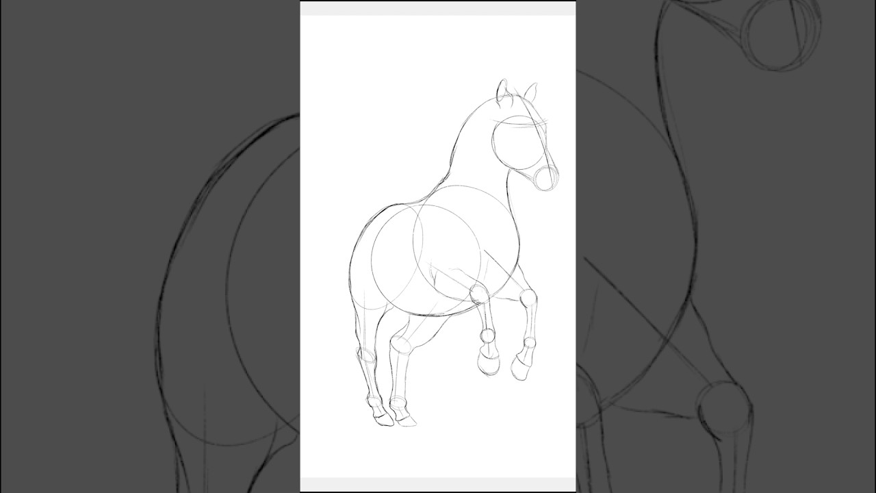How to Draw a Horse in Procreate | Beginner Friendly #short