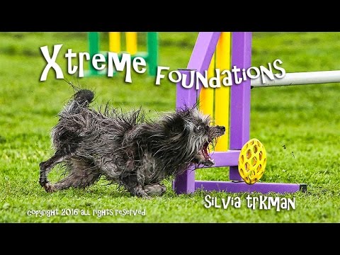 Lolabuland » Xtreme Foundations