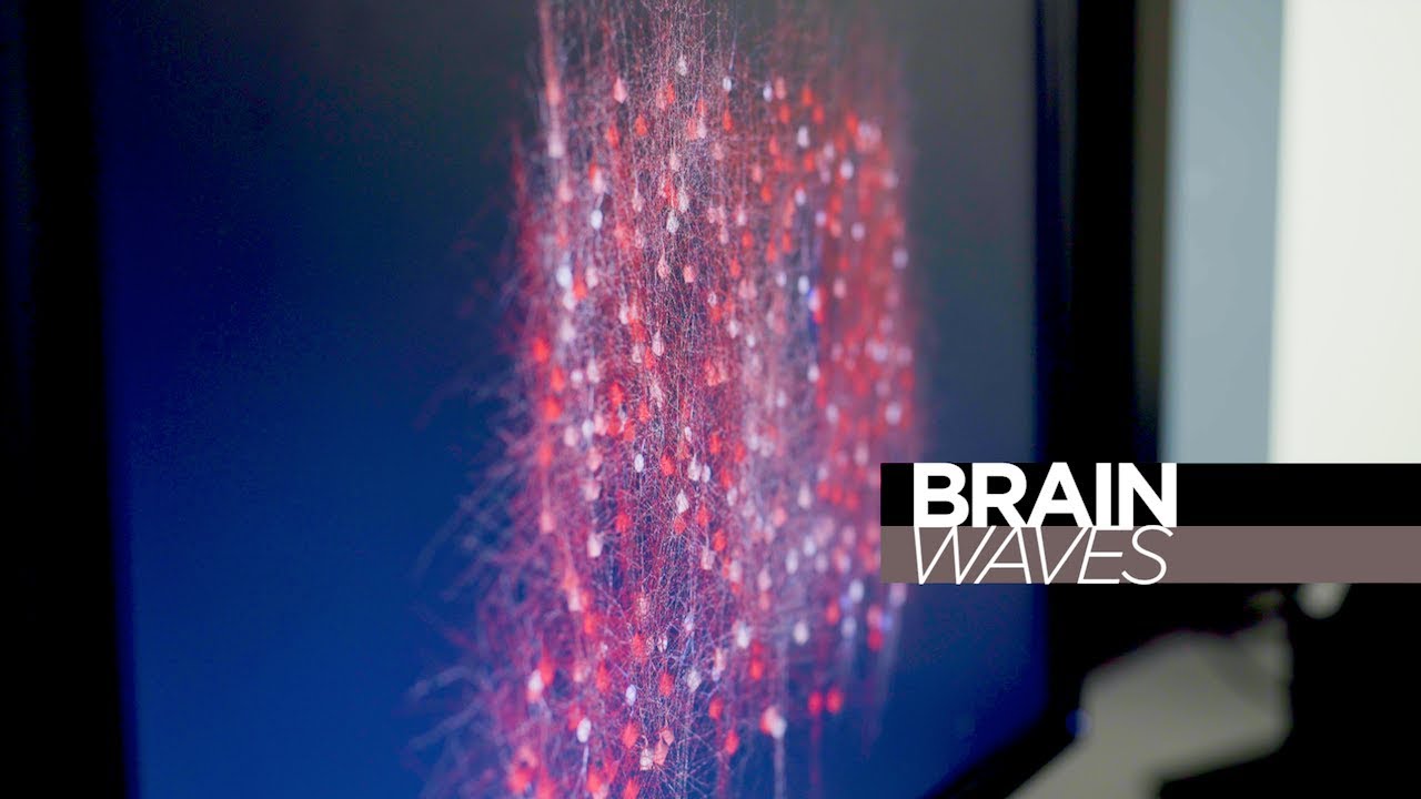 BrainWaves | Modeling the brain