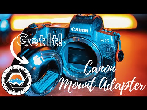 How Good Is The CANON MOUNT ADAPTER For the Canon EOS R, R5, & R6 With EF Lenses