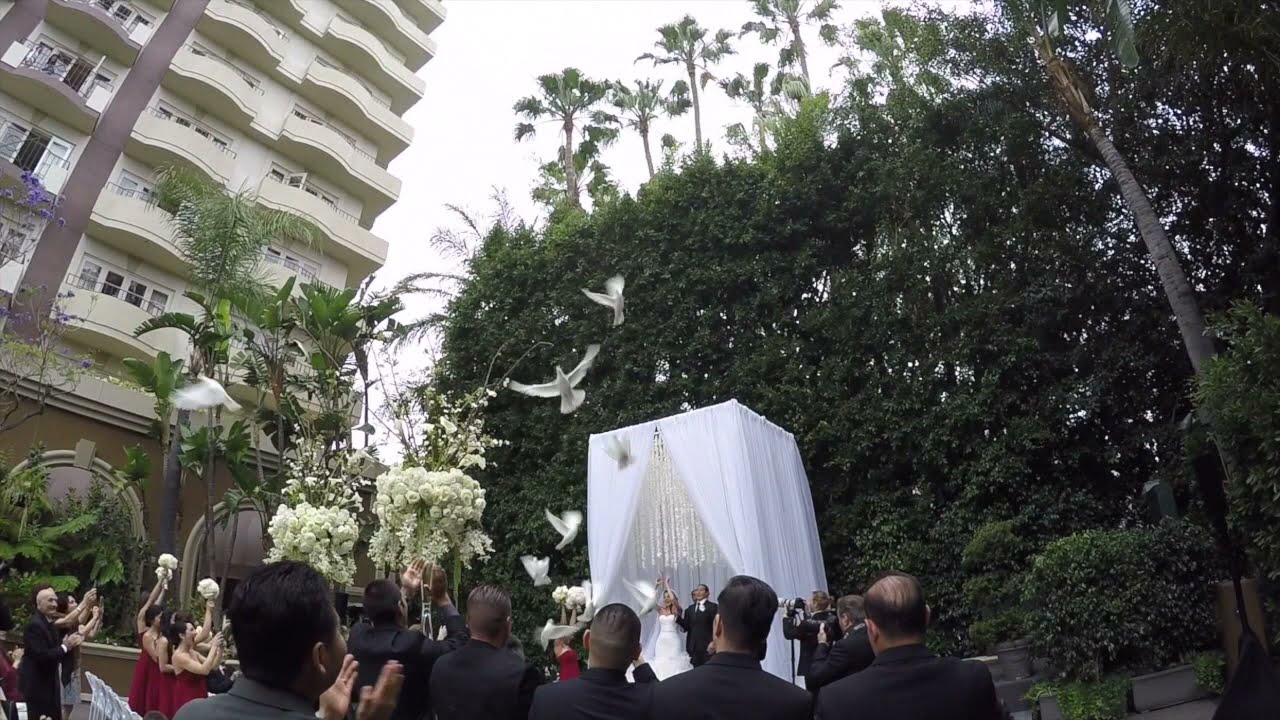 Weddings by Portland White Dove Release