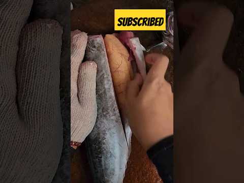 How to get the fish roe #seafood #fishlovers #viral #freshcatch #cutfish #fishlover #best #fishing