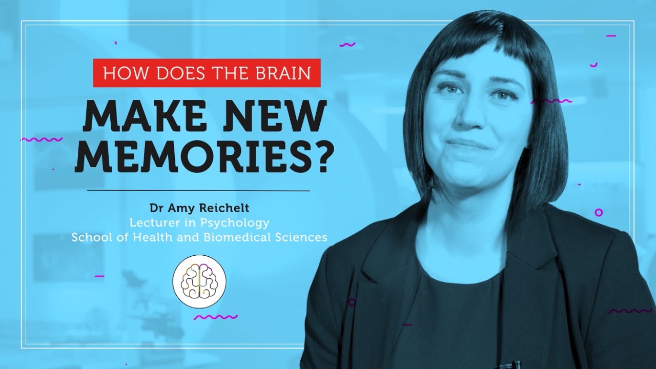 How does the brain make new memories? | RMIT University