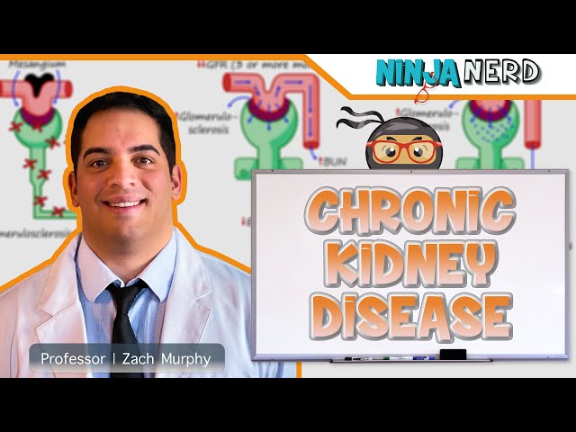 Chronic Kidney Disease - Ninja Nerd Lectures