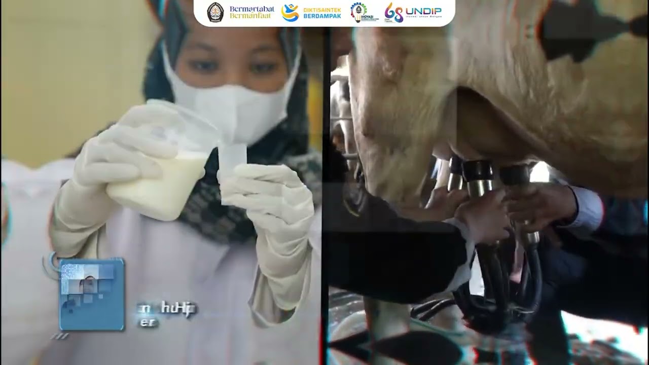 UNDIP Innovation 2025: Creating, Impacting the Nation (English version)