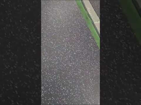 EPDM Flooring - EPDM Floor Latest Price, Manufacturers & Suppliers