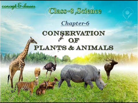 Class 8- Science: Chapter -7, Conservation of Plants and Animals Video ...