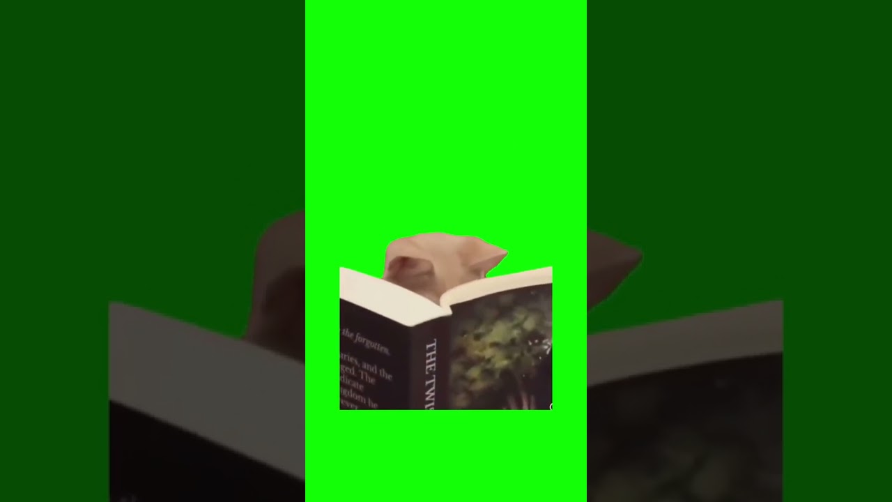 Cat meme😸 Cat reading a book #cat #meowmemes #funny #funnycats #catblogger #fypシ゚