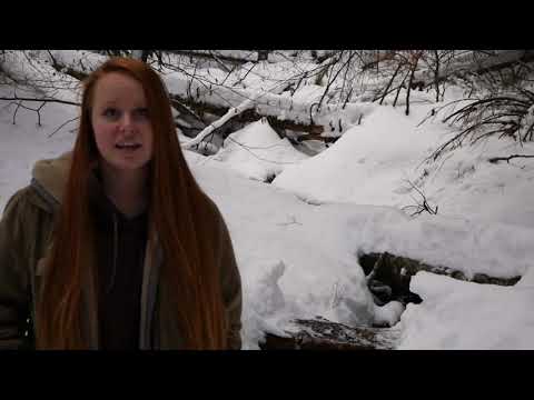 What is a Watershed?