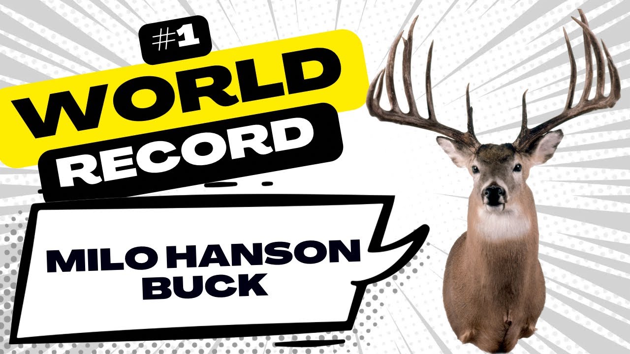 The Worlds BIGGEST Whitetail Deer. The Milo Hanson Buck