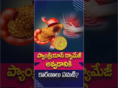 Top 10 Causes of Pancreatic Damage in Telugu || Social Post Health Care #shorts #ytshorts #pancreas