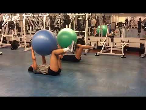 Stability Ball Dead Bugs – Edwards Training Systems