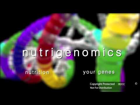 A Visual Presentation on How Food Actually Affects Our Genes | The ...