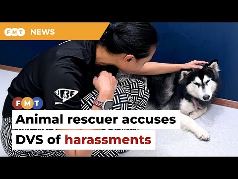 Animal rescuer Shima Aris accuses the Veterinary Services of harassment ...