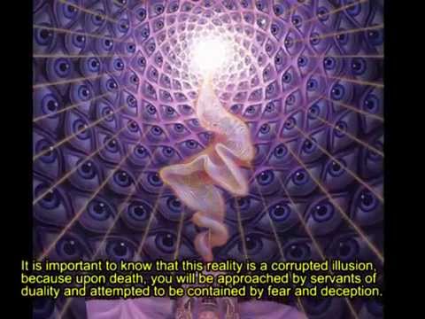 Archon Earth Masters: The Gods of Duality | Tree Of One