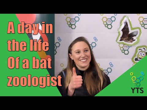 A day in the life of a bat zoologist - Alyce Hennessy