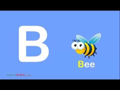 What Words Start With Letter B? *Words For Toddlers*