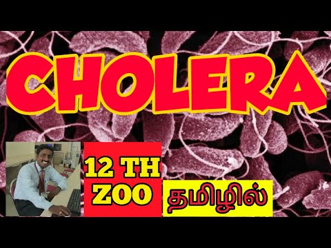 CHOLERA | TAMIL | BACTERIAL DISEASES | HUMAN HEALTH AND DISEASES | STD 12