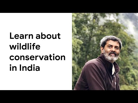 Learn about wildlife conservation in India